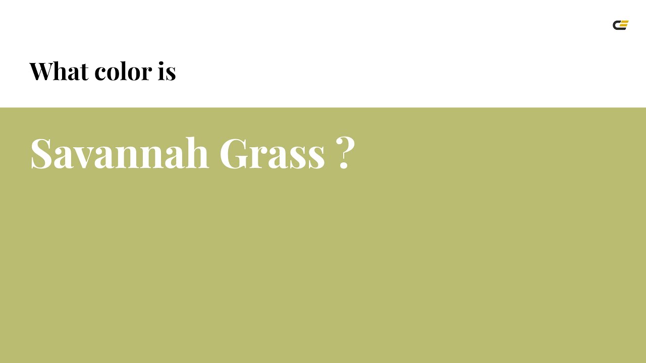Savannah Grass color #babc72 hex color - Yellow color - Cool color ...