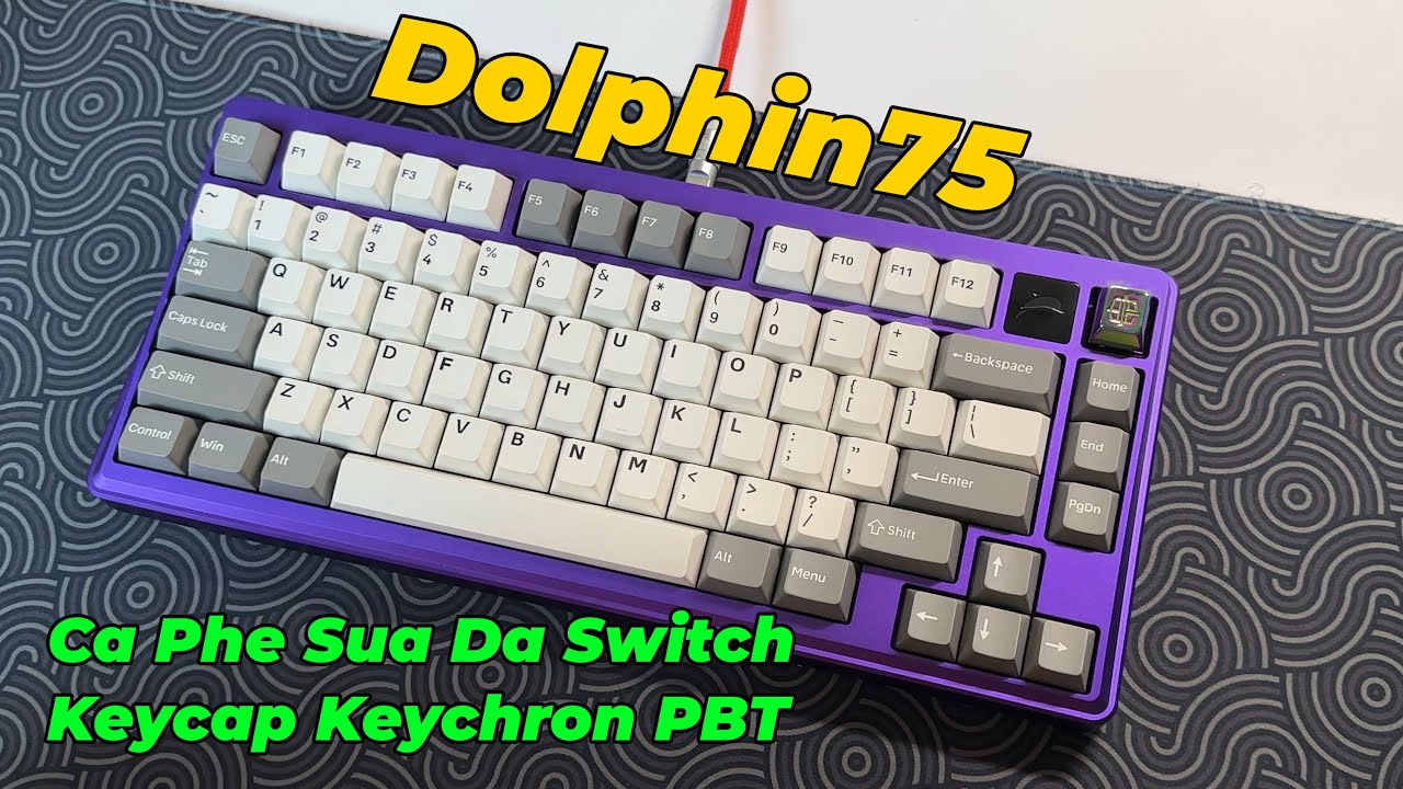Đánh giá Dolphin 75: Mọi thứ khá ổn, NGOẠI TRỪ... - YouTube