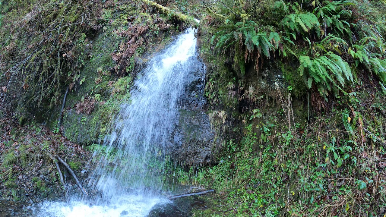 waterfall 1, video 7, 5k 30fps 2880p30 - YouTube