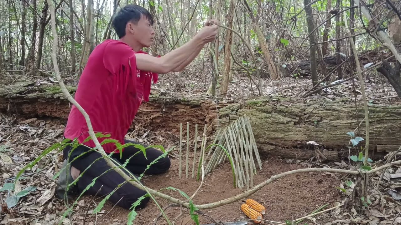 Using wood to build a chicken trap will definitely work. - YouTube