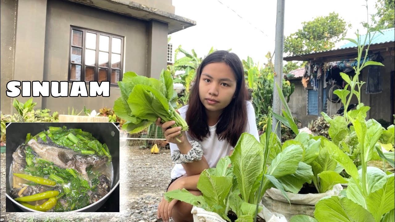 SINUAM NA LIPAIN | Vlog#287 - YouTube