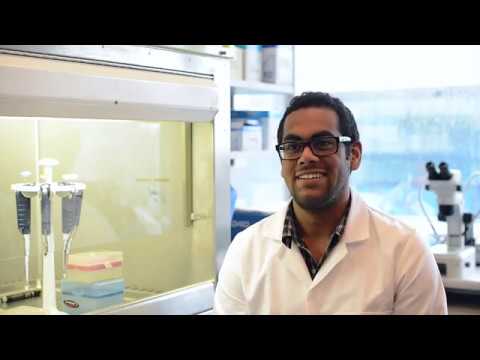 Richard Rebello, PhD student, Risbridger Lab - YouTube