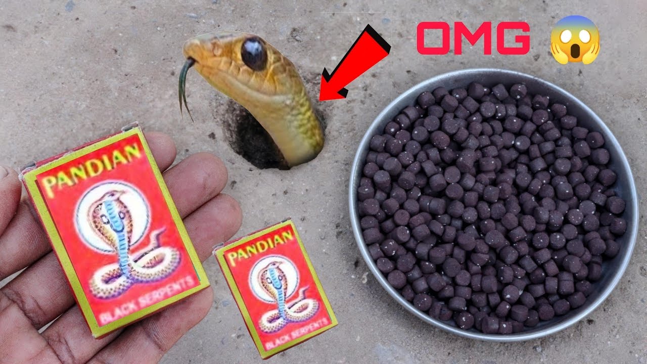 80,000 Firecrackers Were Put Into The Snake 🐍 at One Time || Testing ...