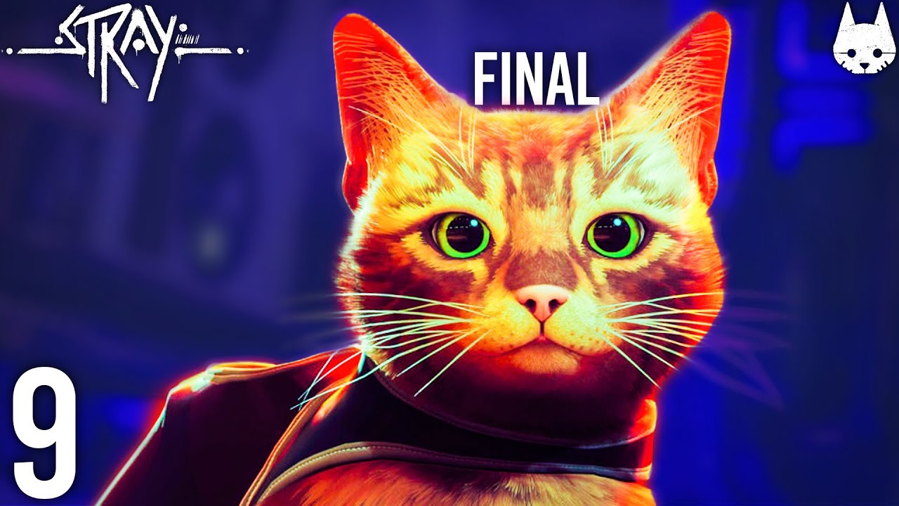 Al-CAT-raz i... wolność? | Stray PL 4K [#9][FINAL] - YouTube