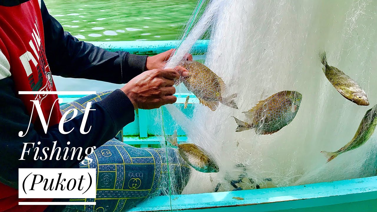 NET FISHING (PUKOT) *CATCH PART 2 | BOHOL PHILIPPINES - YouTube