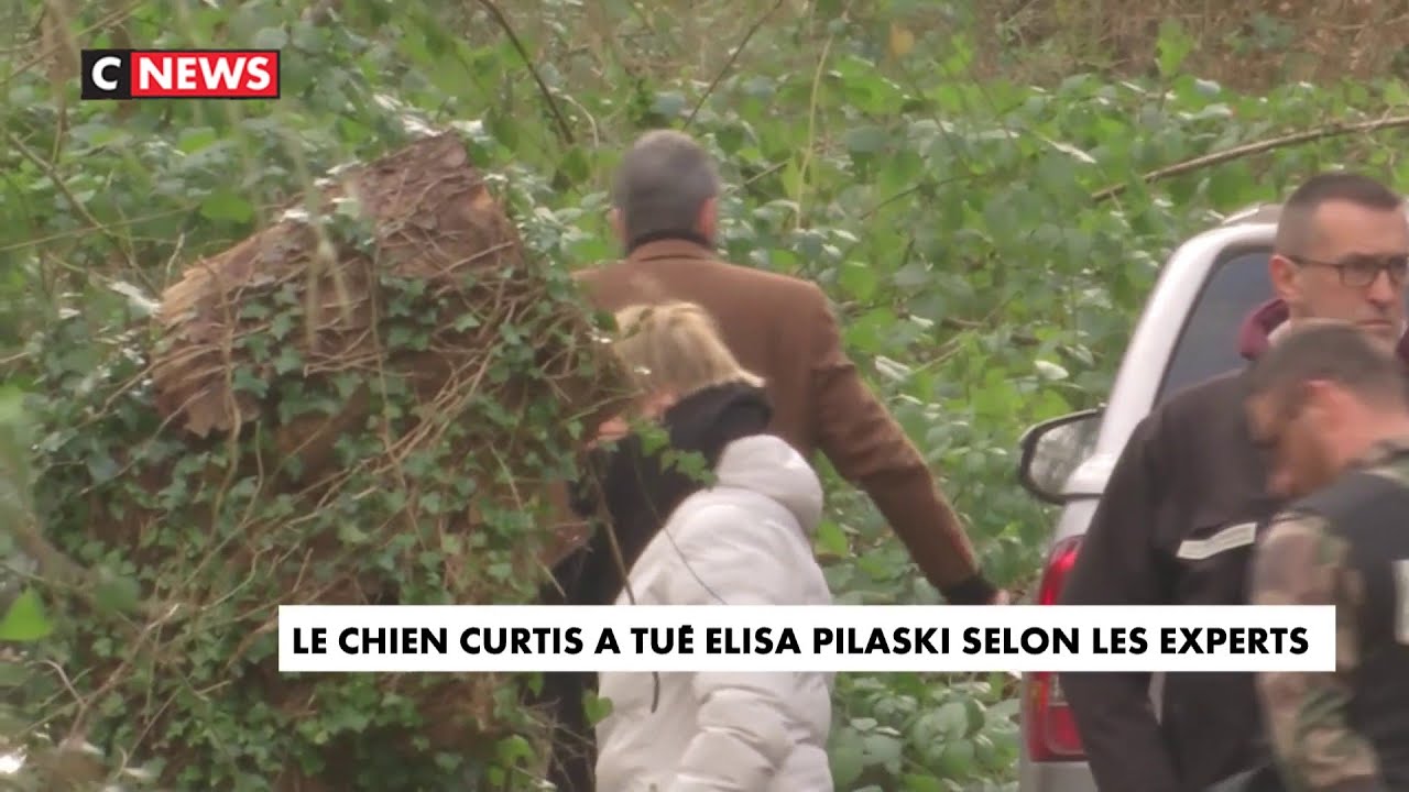 Elisa Pilaski a été tuée par le chien Curtis selon les experts - YouTube