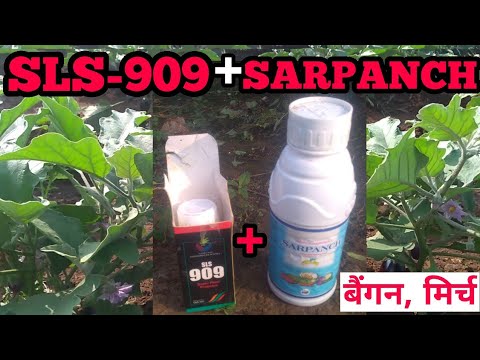 SLS-909 + SARPANCH (Profenofos 40%, Cypermetrin 4%Ec) || INSECTICIDE ...