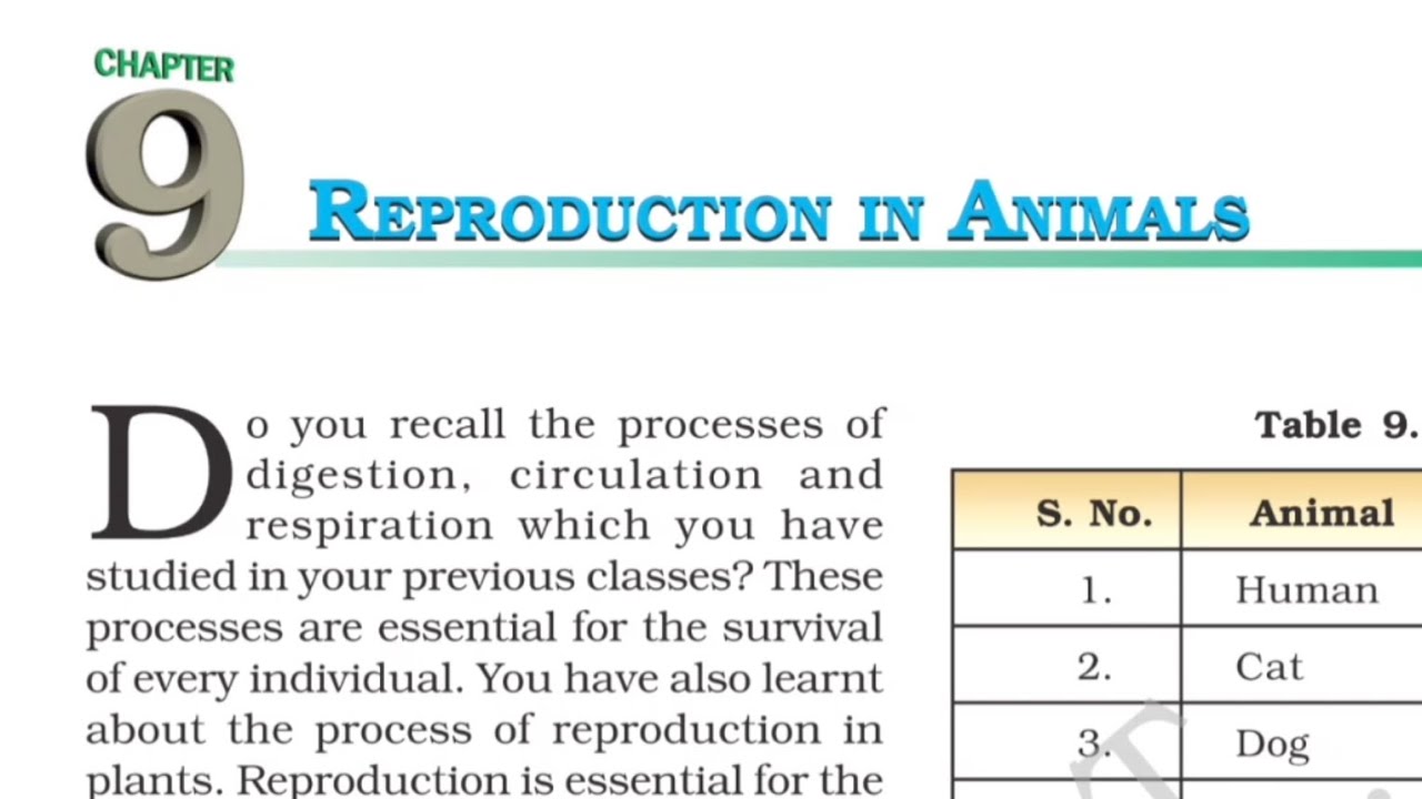 Class 8 science chapter 9 explanation || Reproduction in Animals ...