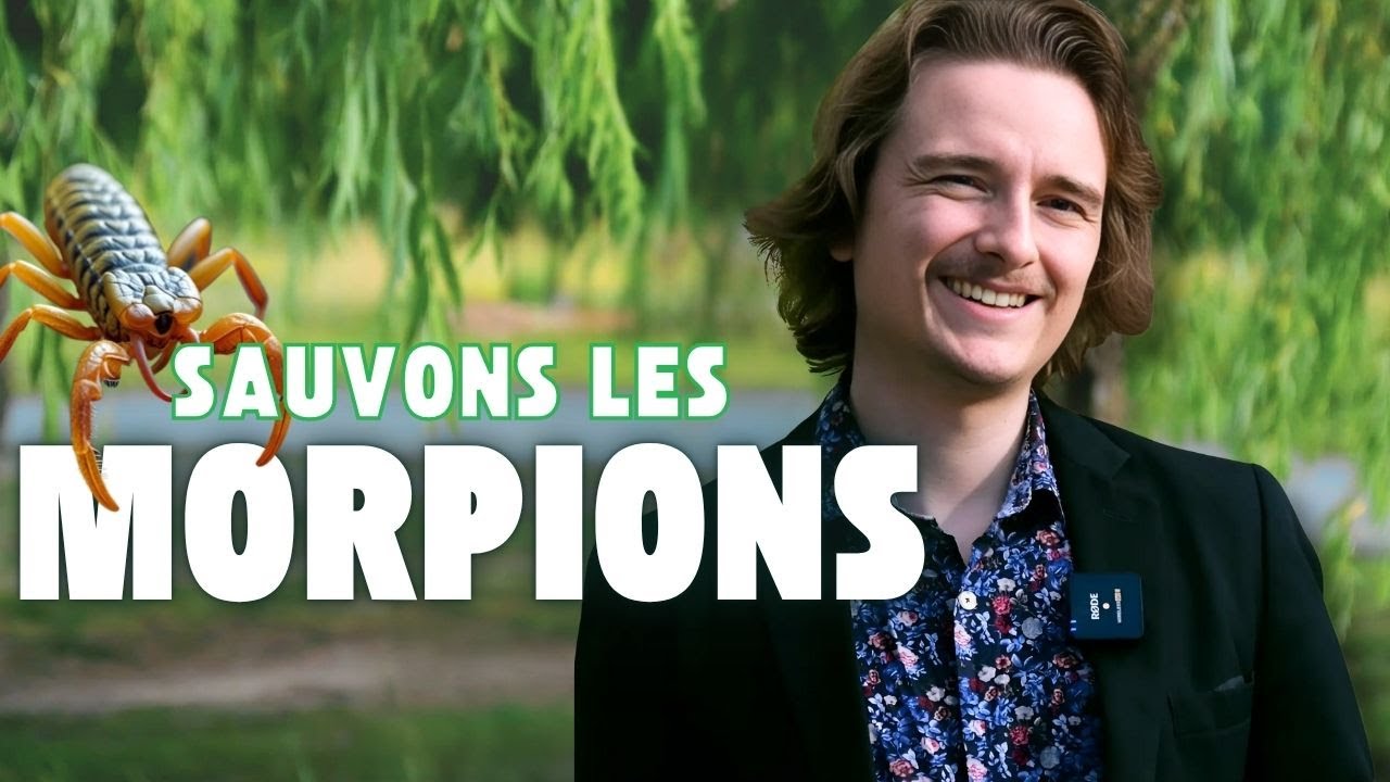 Il faut sauver les MORPIONS ! - YouTube