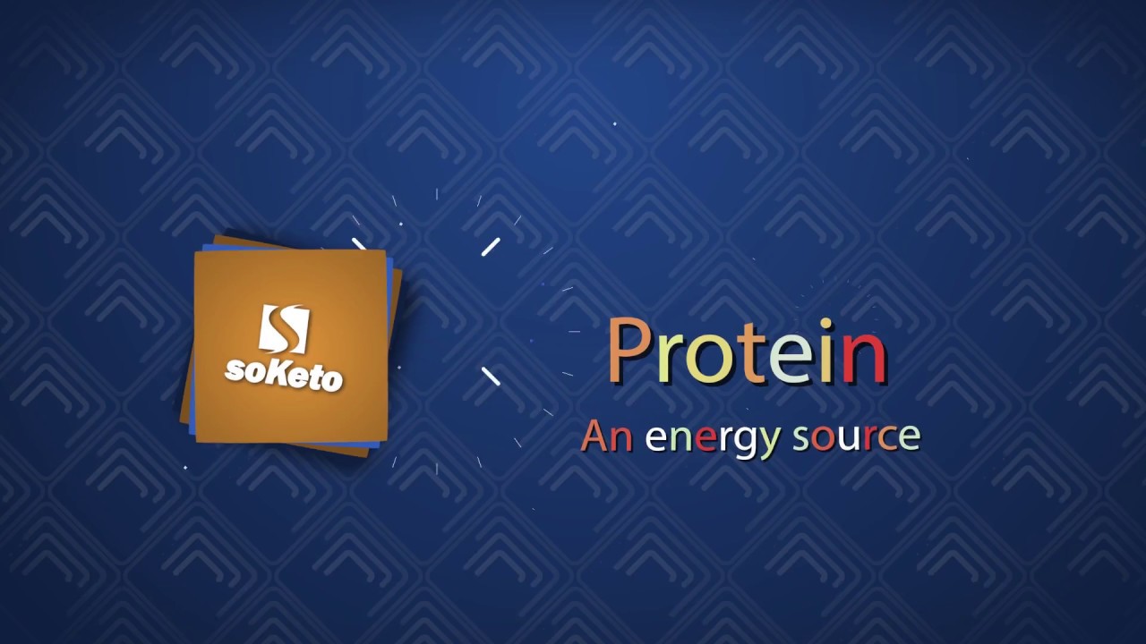 What is "Protein" ? - Vocabulary and Explanation - YouTube