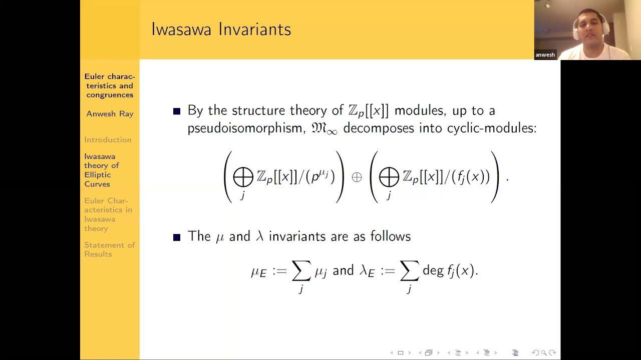Anwesh Ray -- Euler characteristics in Iwasawa theory and their ...