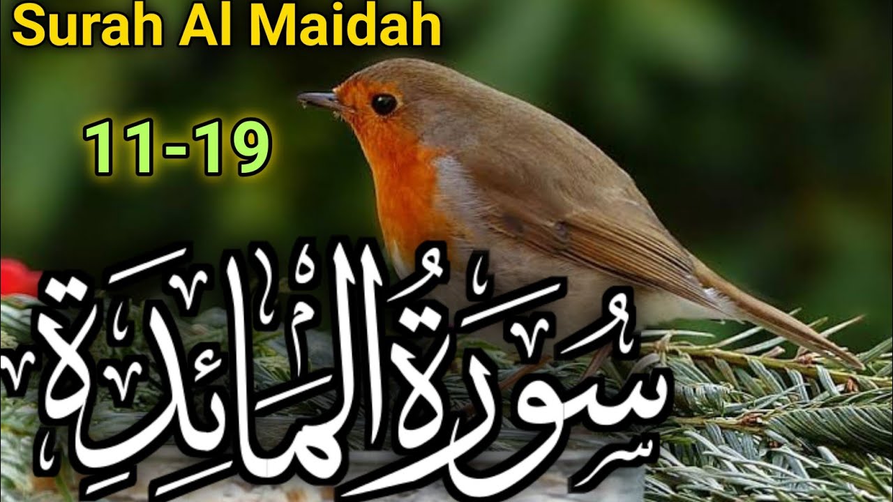 Surah Al-Maidah | Full With Arabic Text (HD) | 05-سورۃالمائدة | Zayof ...