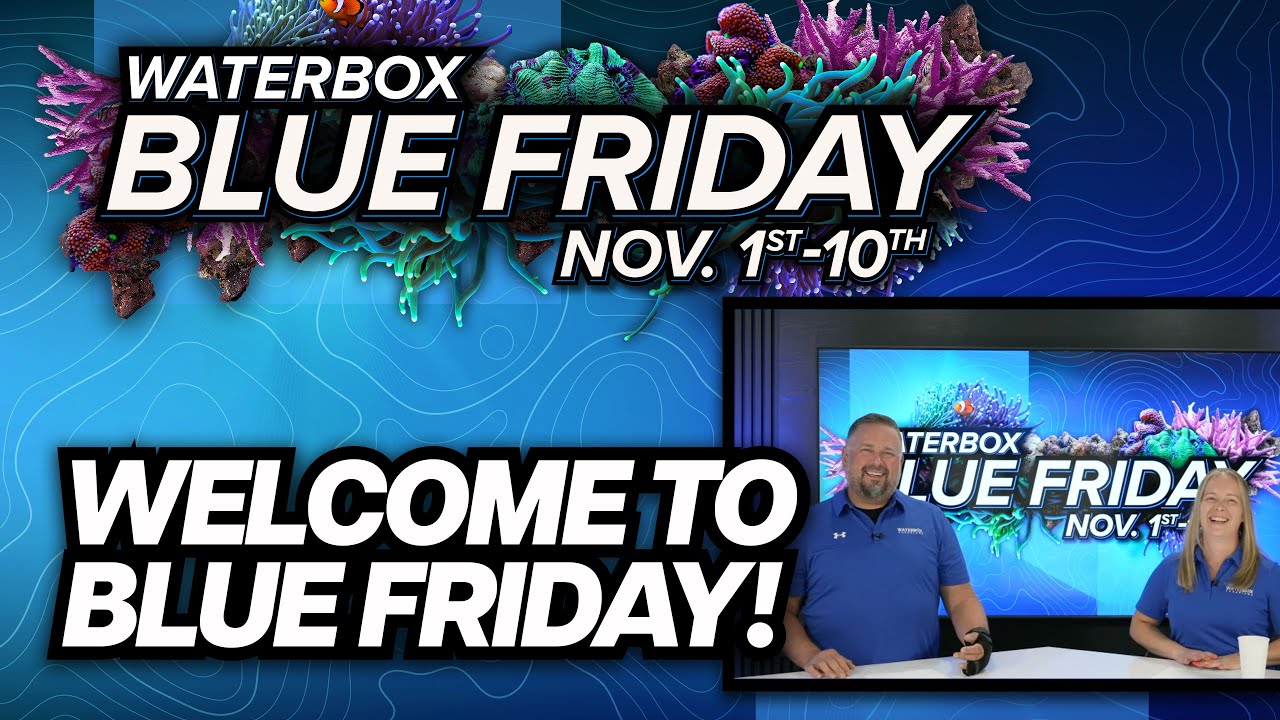 Welcome To Blue Friday! New Product Announcements. - YouTube