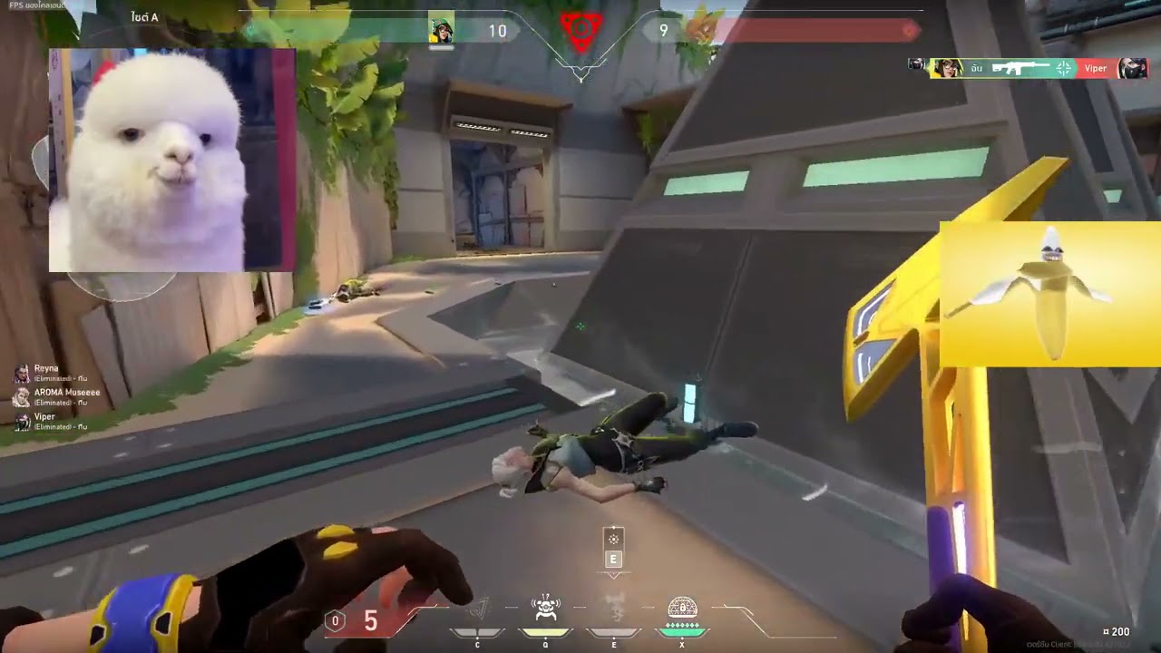 X10 Zeus (Coach X10) kaget sama Flicknya sendiri 🔥 - YouTube