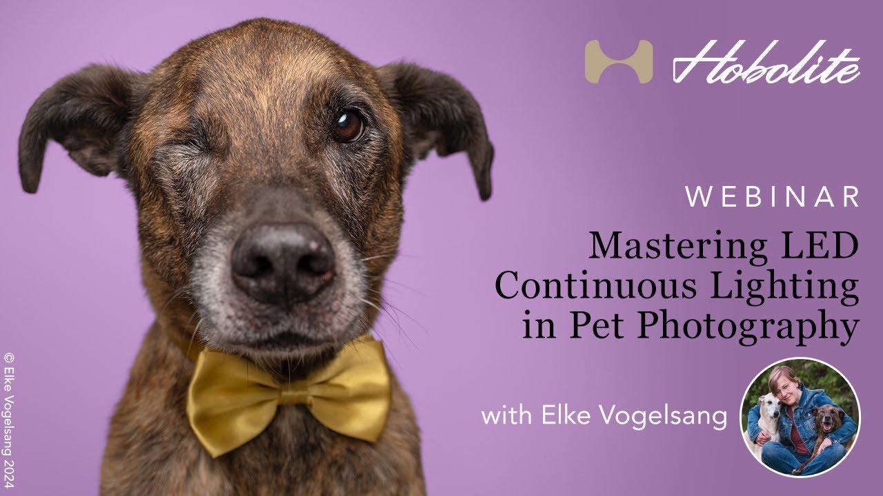 Mastering LED Continuous Lighting in Pet Photography | Webinar with ...