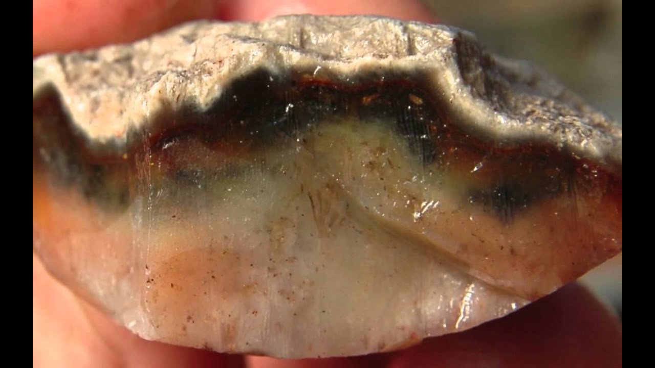 Coral chips 11_30_13 2-Display - YouTube