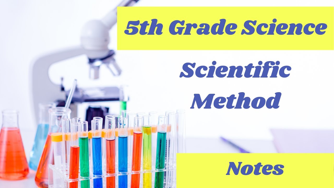 The Scientific Method 5th Grade Science Lesson Online YouTube the-scientific-method-5th-grade-science-lesson-online-youtube