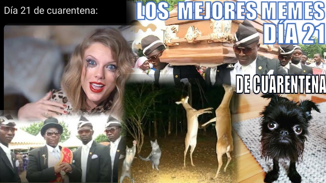LOS MEJORES MEMES DE LA CUARENTENA | MEMES DIA 21 DE LA CUARENTENA ...