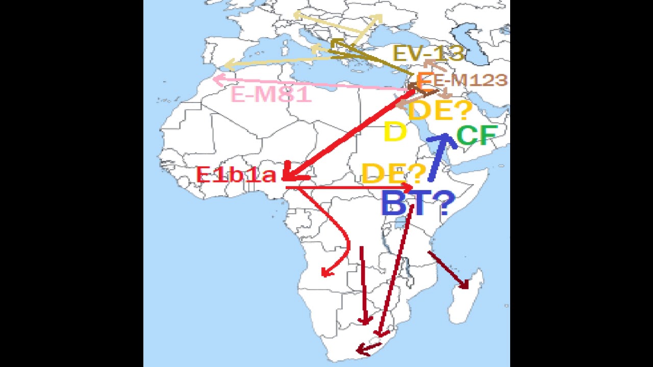 Y dna DE; E1b1a, E1b1b and D migrations - YouTube