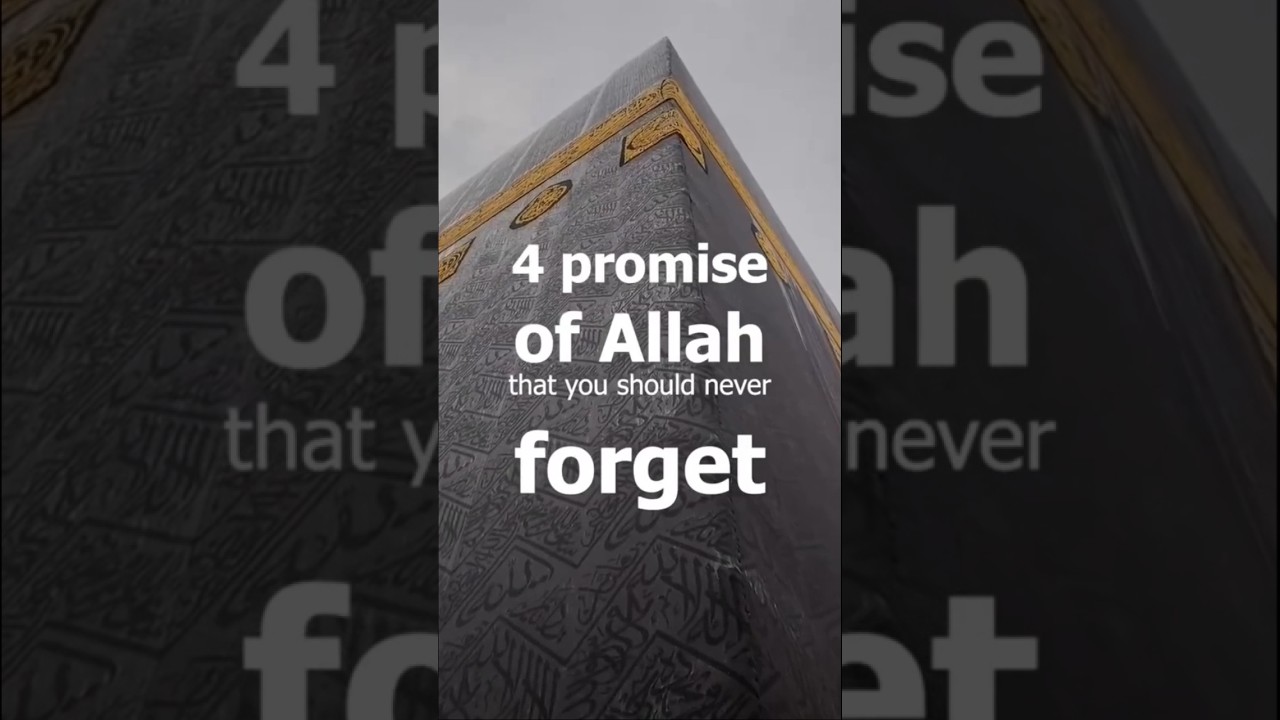 4 Promise of Allah that you should never forget.....! #islamic #allah # ...