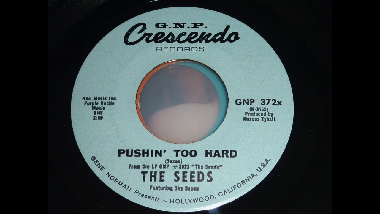 The Seeds - Pushin' Too Hard 45rpm - YouTube