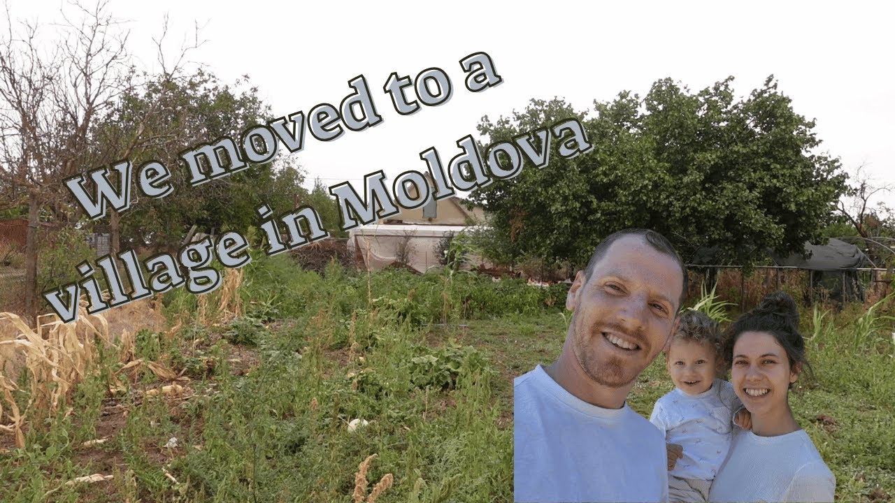 First tour of the small farm we bought in Moldova - YouTube