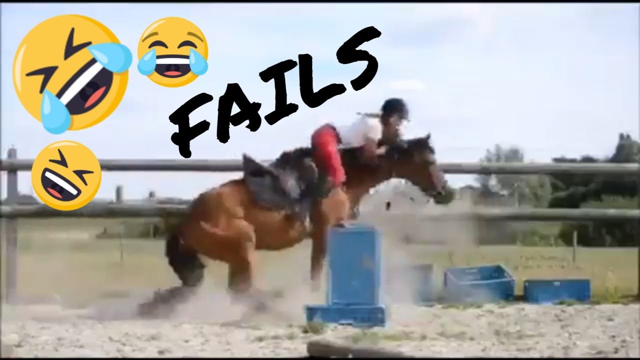 BEST HORSE FAILS/BLOOPERS | MUST WATCH - YouTube