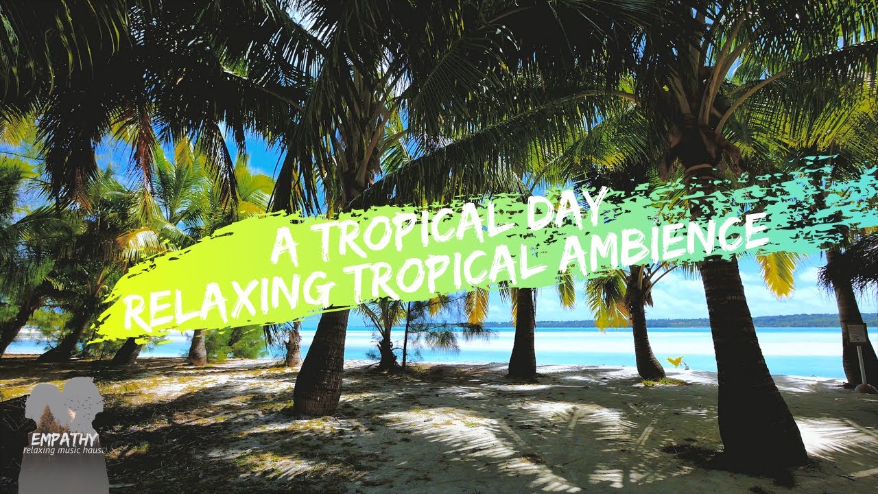 Relaxing Tropical Ambience | A Tropical Day | for Stress Relief ...