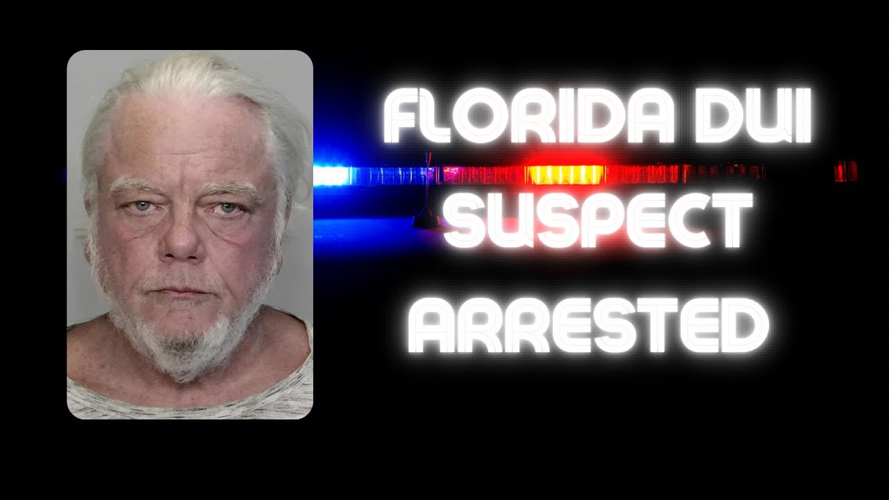 Florida DUI suspect threatening deputies, K9 during traffic stop - YouTube