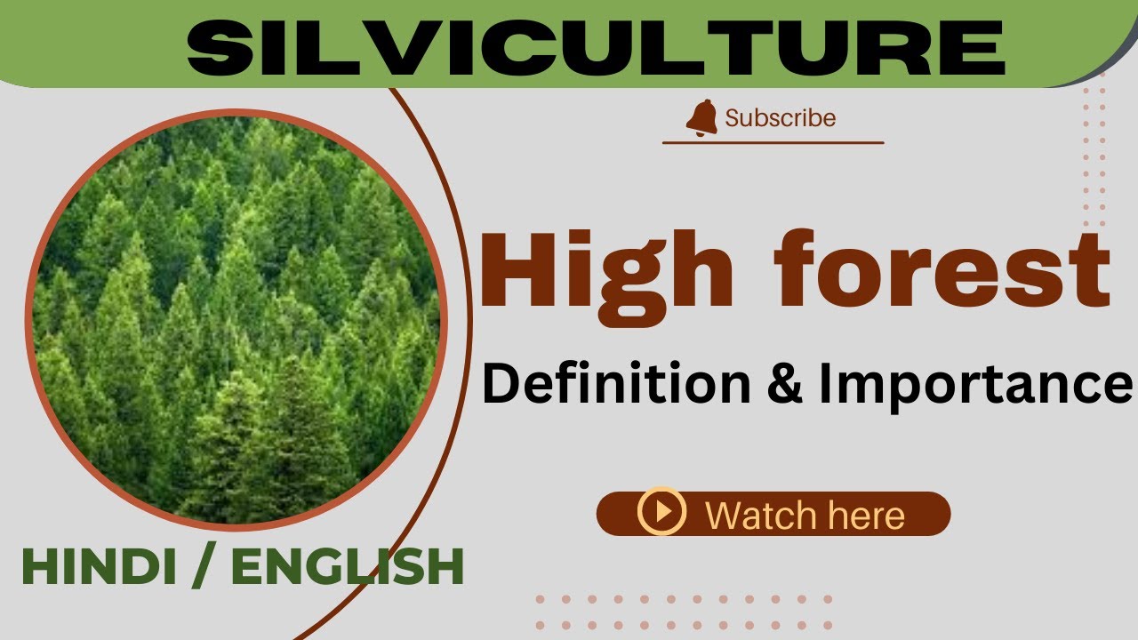 High forest || Definition & Benefits|| @scoringscience - YouTube