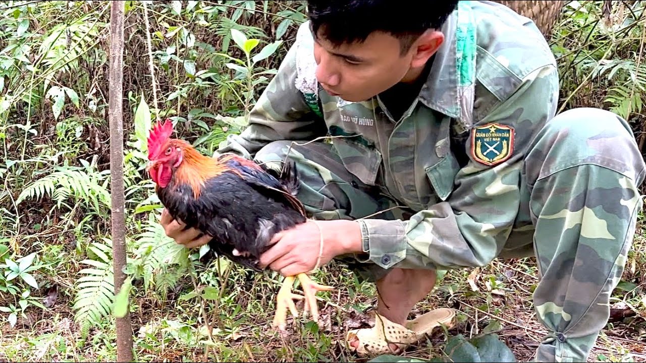 Hung caught a wild chicken | Hung's Simple Life - YouTube
