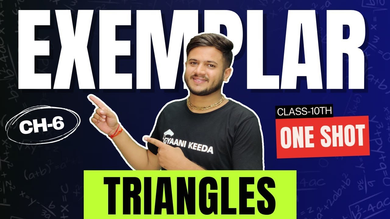 Ch-6 Triangles Class 10 Maths||NCERT Exemplar Problems Class 10 Maths ...
