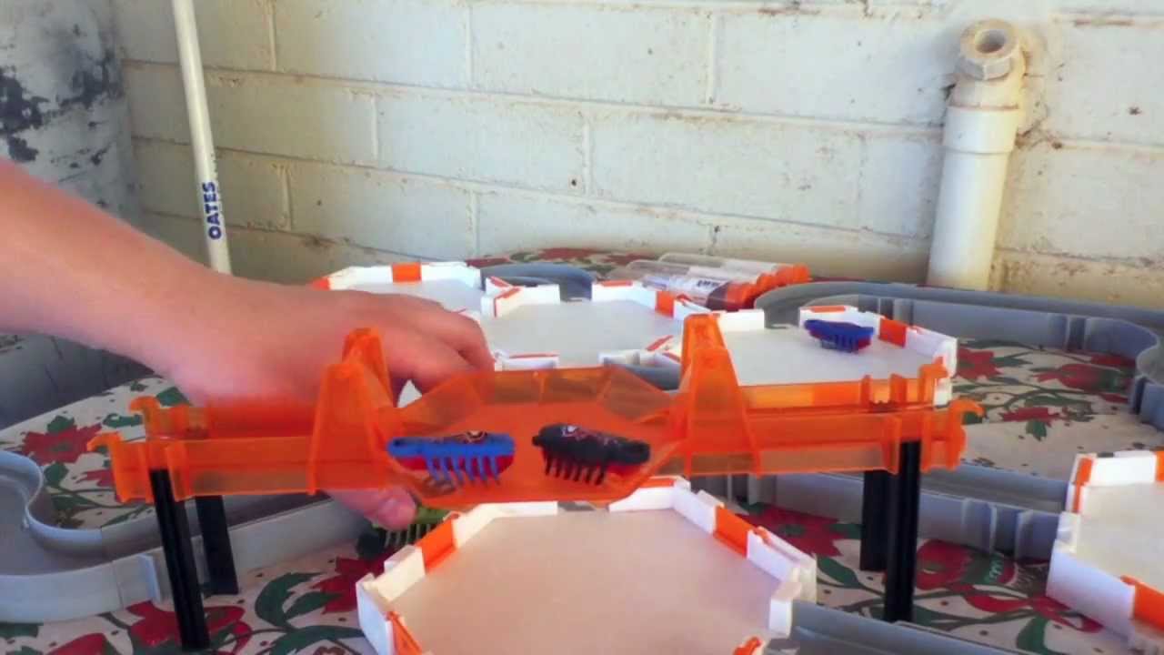 Hex Bugs Battle Bridge - YouTube