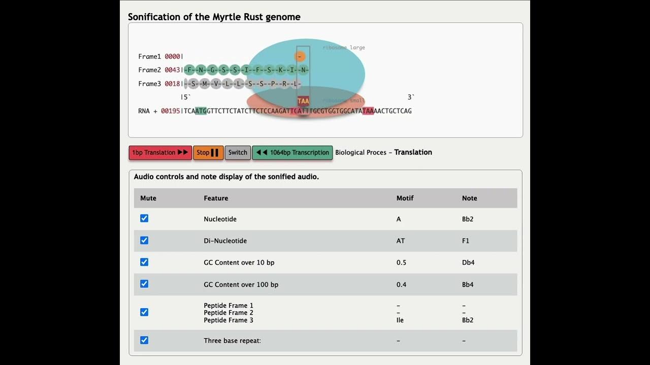 Sonification of the Myrtle Rust DNA sequence - YouTube