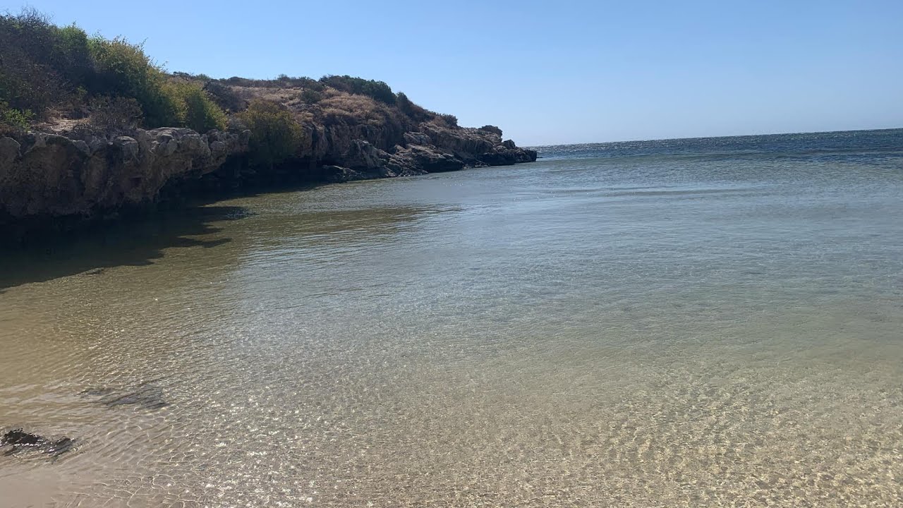 Found a headless pig on the side of the road while snorkelling,swimming ...