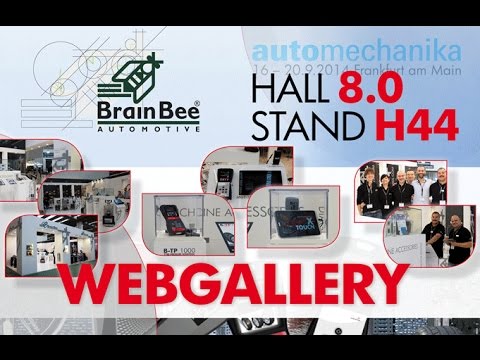 BRAIN BEE - AUTOMECHANIKA 2014 - YouTube