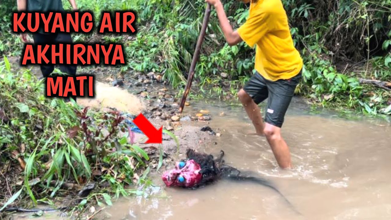 Viral ‼️ WARGA NEKAT T0MB4K KUYANG AIR SAMPAI TAK B3RNY4WA - YouTube
