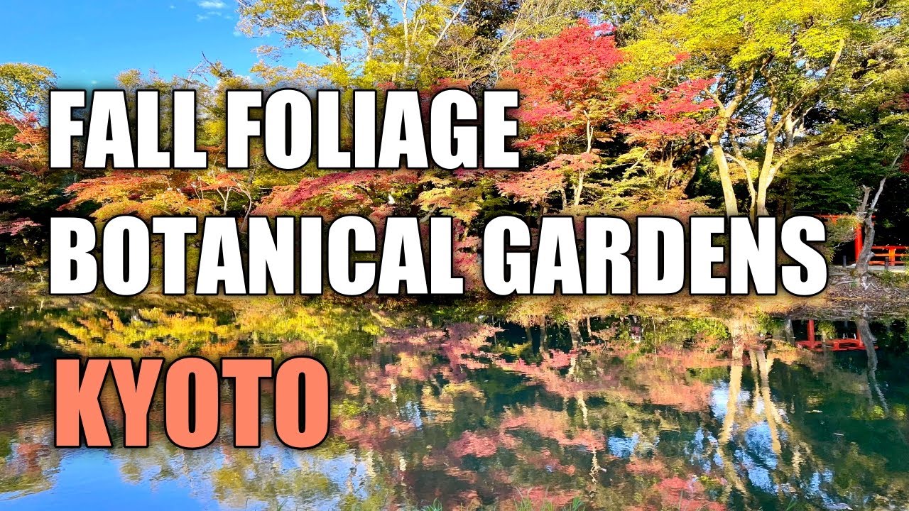 Fall colors at Kyoto botanical gardens in Kyoto, beauty of autumn ...