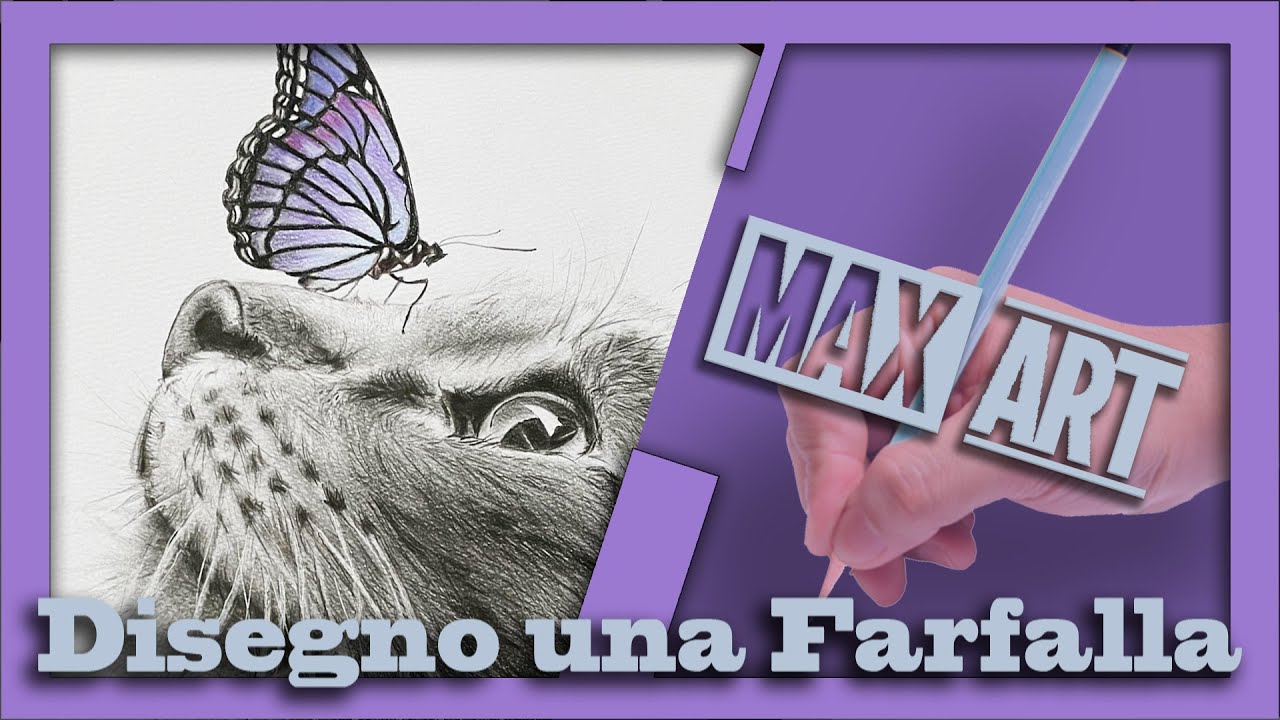 DISEGNO UNA FARFALLA SUL GATTO / HOW TO DRAW A BUTTERFLAY ON A CAT ...