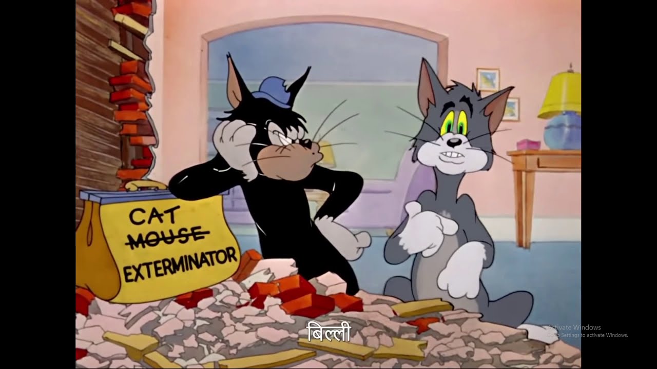 Cat Exterminator - YouTube