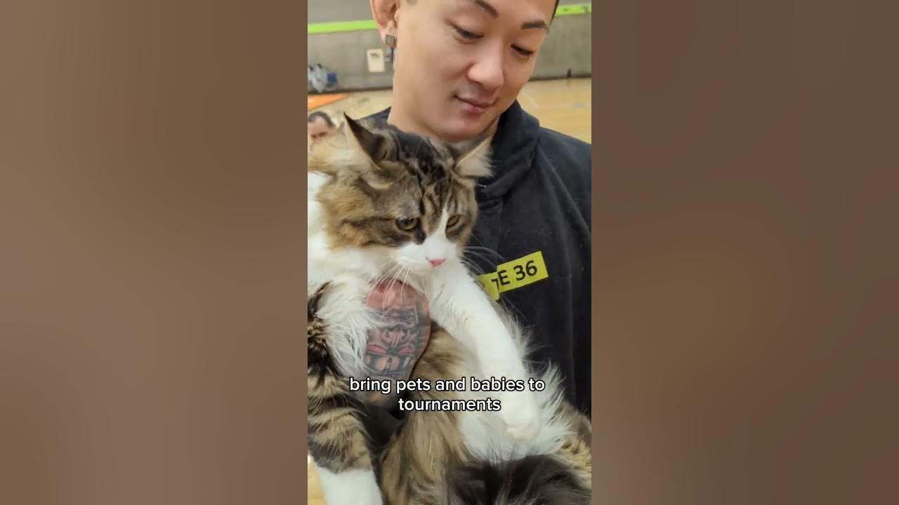 HOW TO COMPETE AT YOUR FIRST JIU-JITSU TOURNAMENT! (Etiquette + What to expect) - YouTube