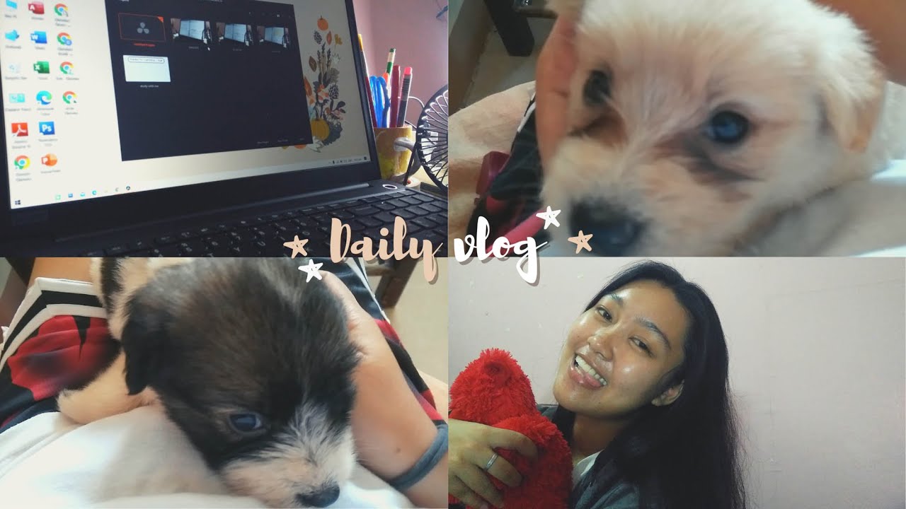 DAILY VLOG WITH TINE: with new dogs🐶🥰 | Living with Tine 💖 - YouTube