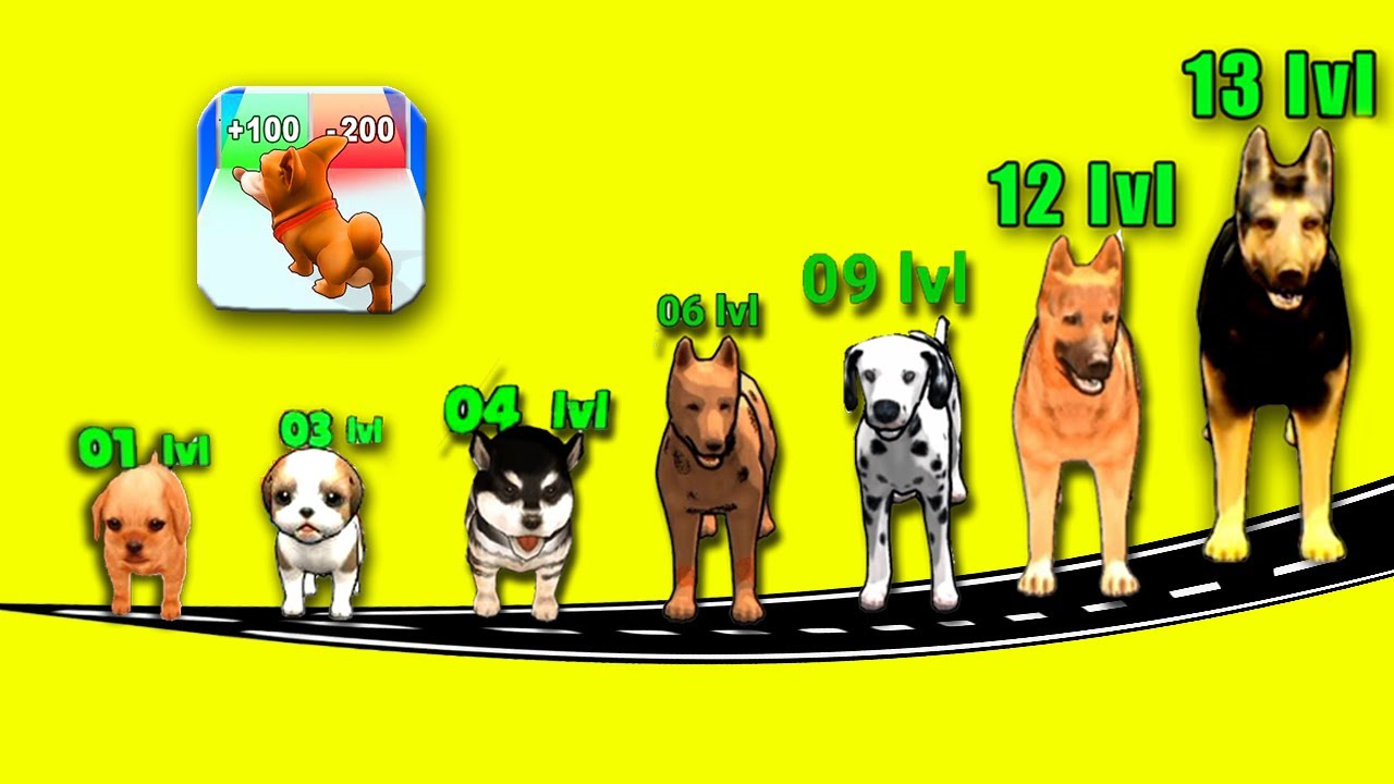 Dog Evolution Run 🐕😂Grow and Run! All Levels Funny Gameplay with Dog ...