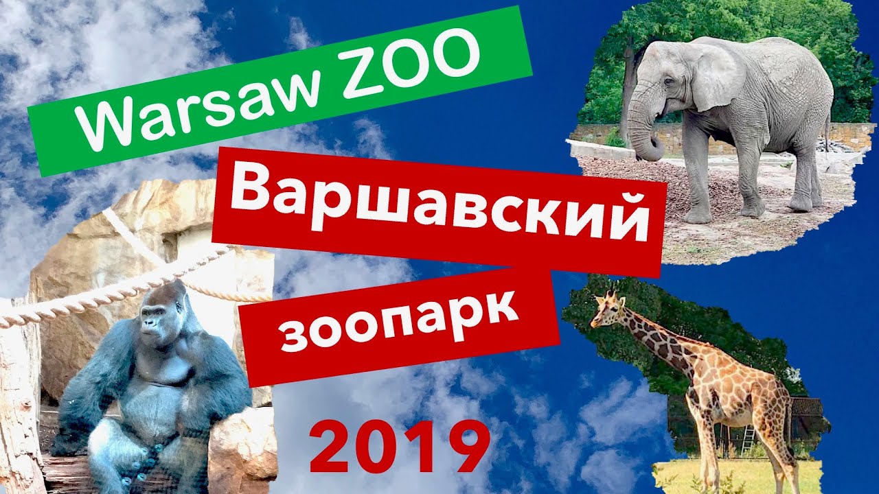 Warsaw ZOO 2019 | Варшавский зоопарк | ZOO Warszawa - YouTube
