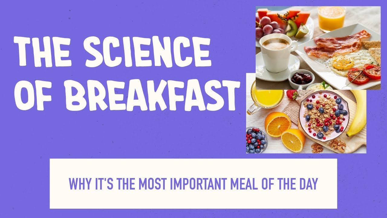 The Science of Breakfast: Why It's the Most Important Meal of the Day ...