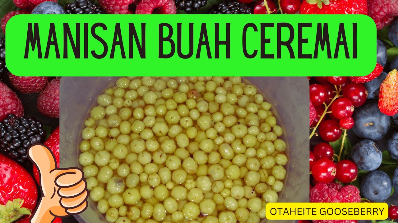 Manisan buah ceremai Candied Otaheite Gooseberry #manisan - YouTube