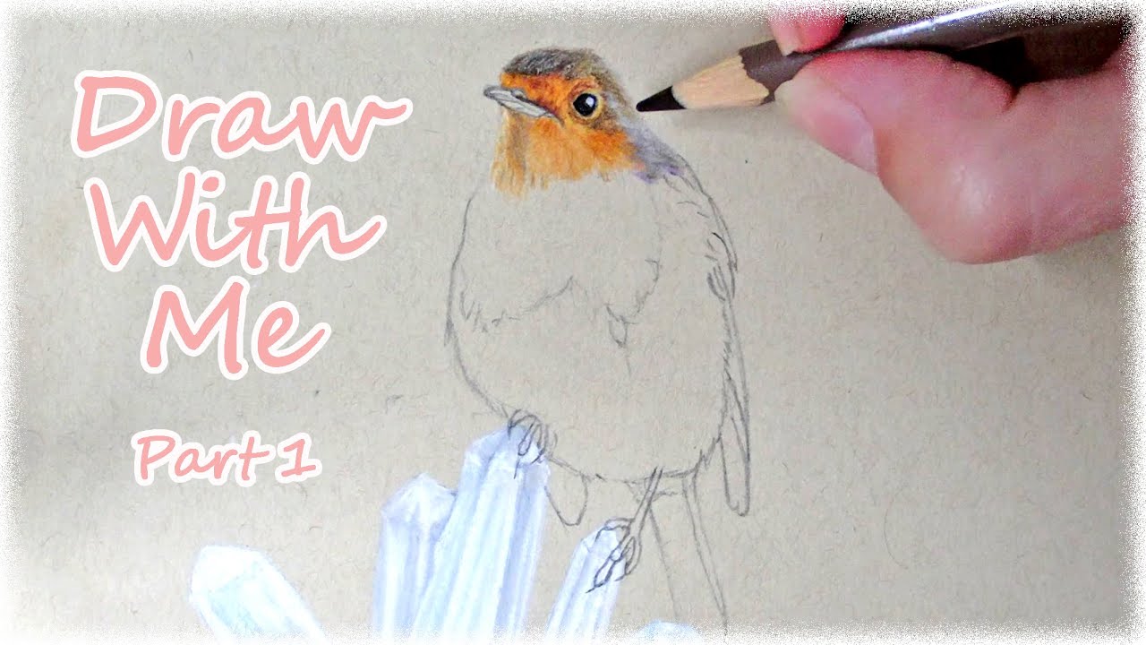 Relaxing and Chatty Draw With Me | Coloured Pencil Robin Part 1 - YouTube