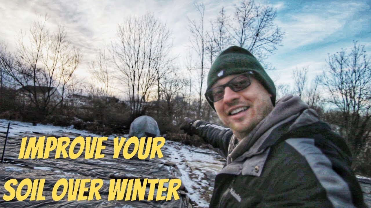 3 Ways to Improve Your Soil Over Winter - YouTube