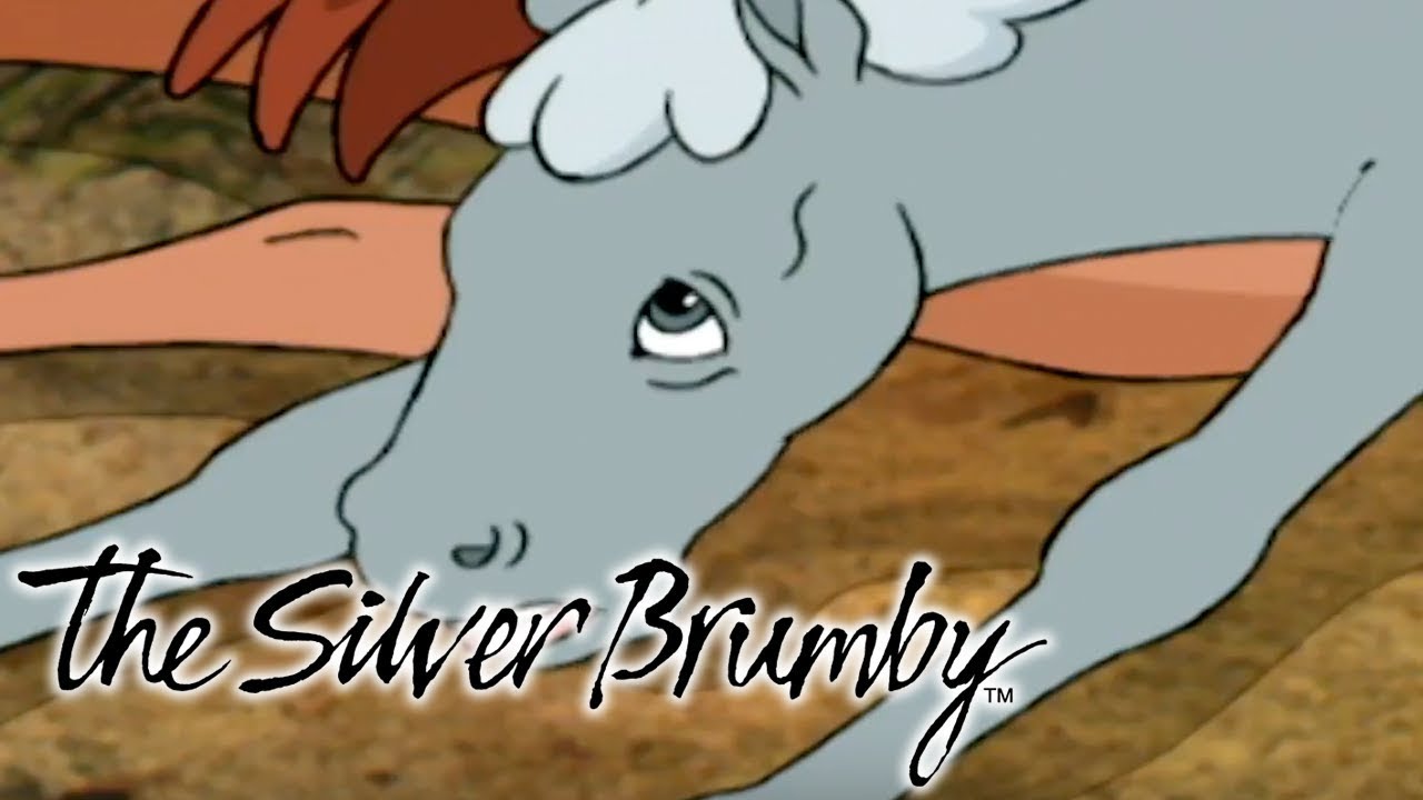 The Silver Brumby - The Brolga Wants a Fight (HD - Full Episode ...