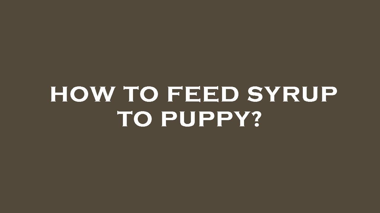 How to feed syrup to puppy? - YouTube